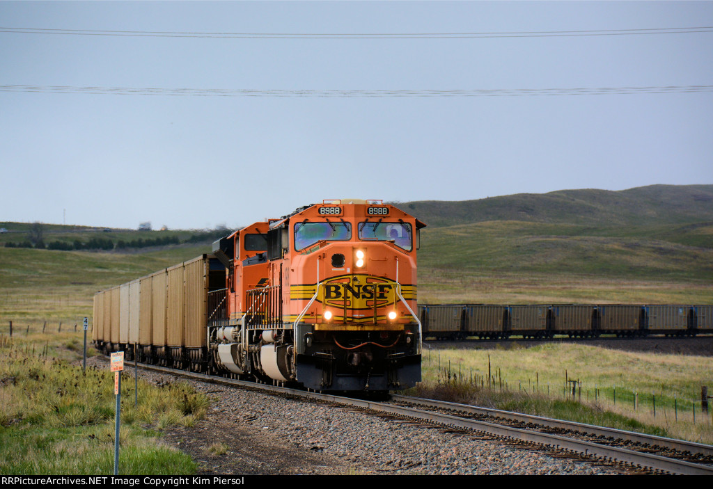 BNSF 8988 Coal Empties